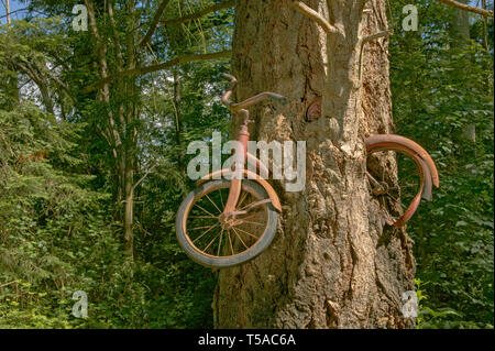 Vashon Island, Washington, USA. Old bike grown into a tree. This is a form of arborsculpting ...