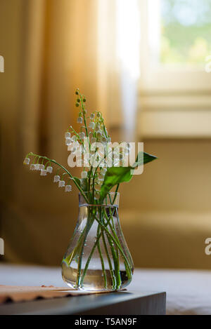 White Trush Flower (Convallaria majalis) o Lily Flower Stock Photo - Alamy