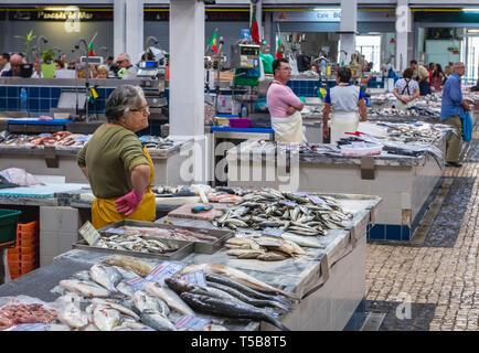 Fish alley on Mercado do Livramento indoor market in Setubal near ...