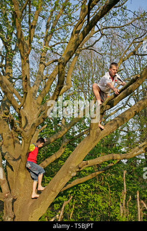 Child with bare feet climbing tree in park Stock Photo: 179327284 - Alamy