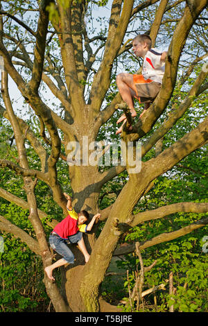 Child with bare feet climbing tree in park Stock Photo: 179327284 - Alamy