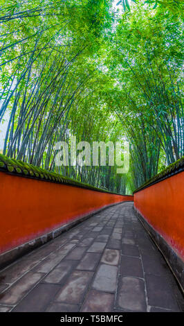 Curvy red walls passage surrounded by bamboo forest, color toning ...