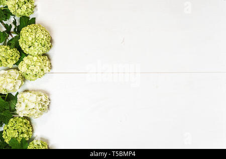 Beautiful flowers on color wooden background Stock Photo - Alamy