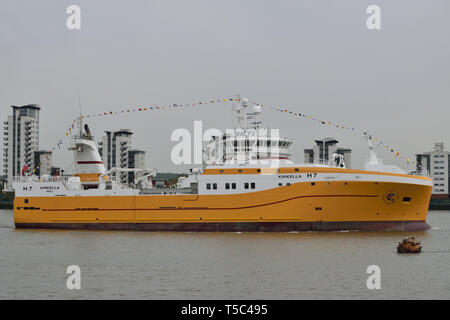 New Freezer Trawler Kirkella arriving on the River Thames in London ...