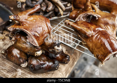 Vietnam, Hanoi, roasted dog, food Stock Photo - Alamy