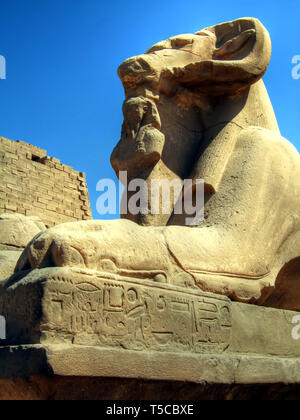 Kings monuments in Karnak Temple, Luxor, Egypt Stock Photo - Alamy