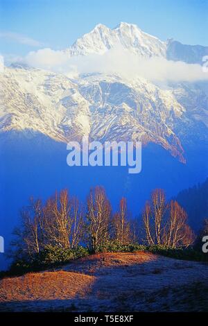 Chaukhamba Mountain as seen from Buddha Madmaheshwar, Uttarakhand ...