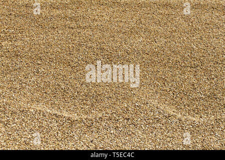 Background texture of beach loose sand with soft focus Stock Photo - Alamy