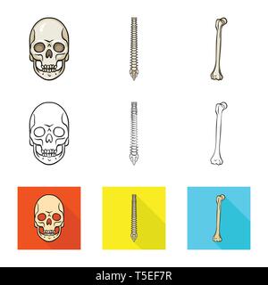 skull,spine,death,chiropractic,broken,monster,backbone,fibula,evil ...