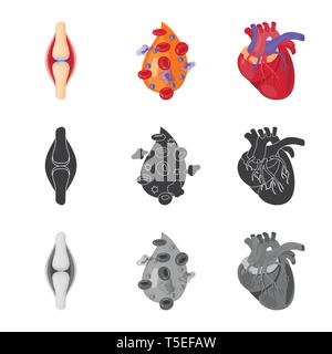 bone,blood,heart,tendon,plasma,cardiology,ligament,cell,cardiovascular ...