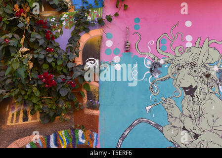 Colonia Guadelupe is the artistic neighbourhood of San Miguel de ...