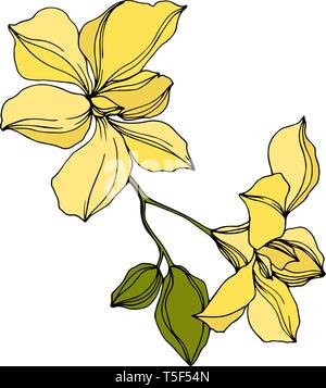 Yellow and green outline orchid flowers silhouettes seamless pattern on ...