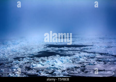 An open lead in drift ice created by wind and current leads to an ...