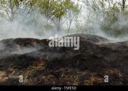 smouldering pyre of wood in the making of charcoal Stock Photo - Alamy