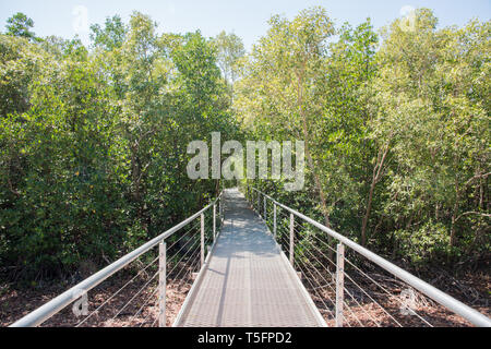 The Mangrove Boardwalk at East Point in Darwin, Northern Territory ...