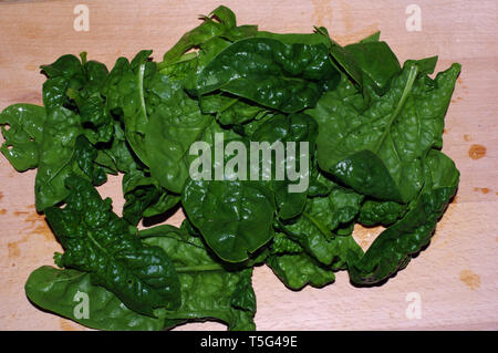 Spinach (spinacia oleracea) close-up Stock Photo - Alamy