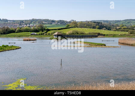 Seaton wetlands, sitting beside the River Axe in the Axe valley, Devon ...