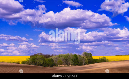 Hungary spring nature photos Stock Photo - Alamy