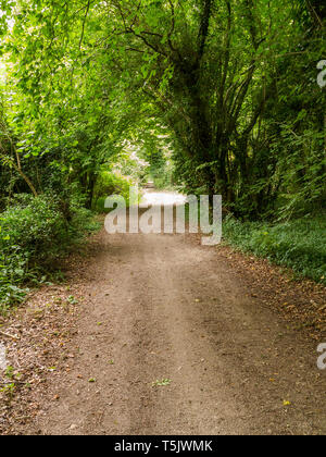 Harrow Way - North of Overton - SU506515 Stock Photo - Alamy