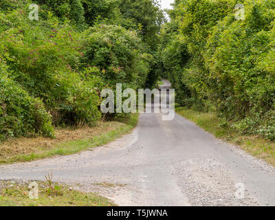 Harrow Way - North of Overton - SU506515 Stock Photo - Alamy