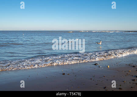 Broadstairs, Kent, England, UK. Tidal seawater swimming pool on the ...