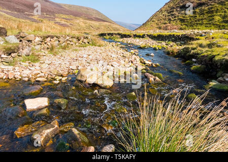 LANGDEN BROOK, Forest of Bowland, Lancashire, UK. May Stock Photo - Alamy
