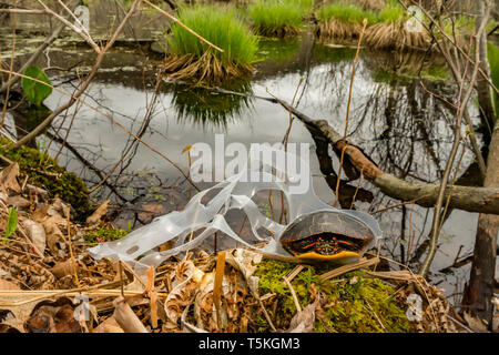 Eastern Painted Turtle entangled in a plastic six pack drink holder ...