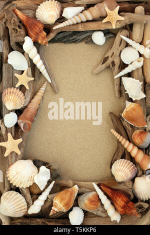 Abstract seashell and driftwood background border on beach sand with ...