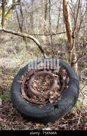 Rustic tire in autumn woods Stock Photo - Alamy