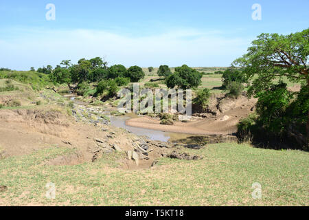 Talek river, Maasai Mara, Kenya, Africa Stock Photo - Alamy