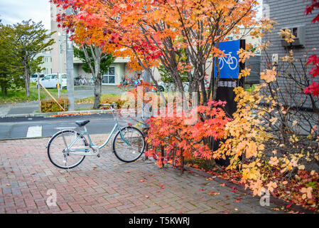 Autumn in Kitami, Hokkaido, Japan Stock Photo - Alamy