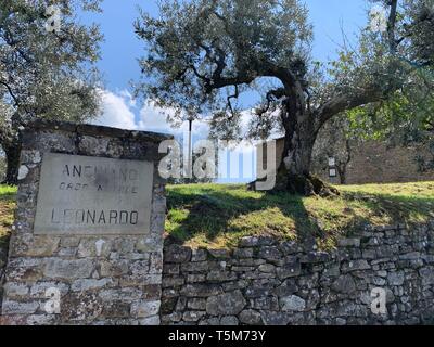 Birthplace of Leonardo da Vinci, Anchiano, Italy Stock Photo - Alamy
