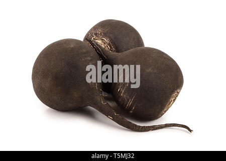 Black radish roots isolated on white background Stock Photo - Alamy