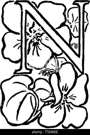 A capital letter M with flowers, vintage line drawing or engraving ...