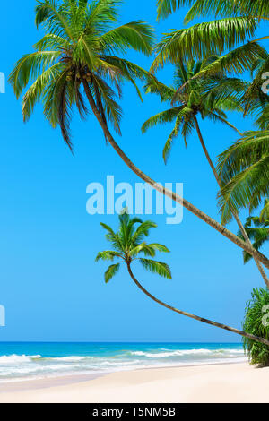 A beautiful idyllic endless white sand beach with a calm ocean and ...