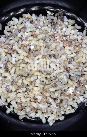 Raw Red ant eggs : are cooked in types of food such as Spicy Raw Ant ...