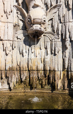 A dragon-fish gargoyle spouts water into a pool on a wall along the ...