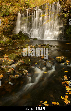 Scale Haw Force Waterfall at Hebden near Grassington, Wharfedale ...