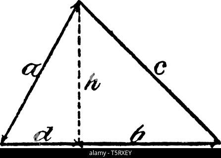An image showing the acute triangle. This triangle the three angles are ...