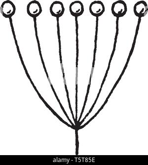 A picture or diagram showing the umbel arrangement of flowers which ...