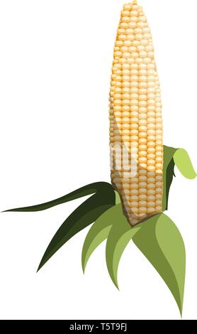 corn maize green, cob sweet vector seamless pattern Stock Vector Image ...