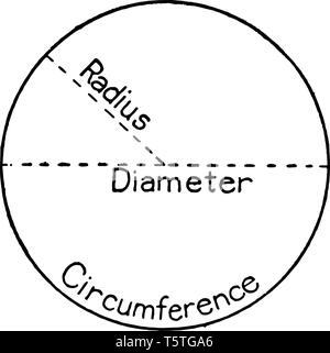 vector illustration diameter circumference or circle shape Stock Vector ...