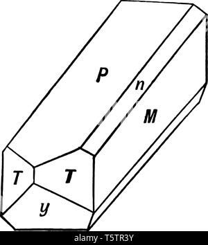 This diagram represents Elongation in the Direction of the Orthogonal ...