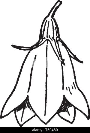 Gradually Clipart Flower