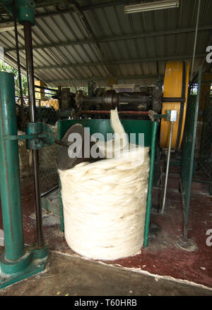 Tecoh, Yucatan, Mexico - 2019: Demonstration of the traditional method ...