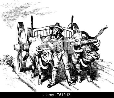 Ox and Cart Vector Illustration Stock Vector Image & Art - Alamy
