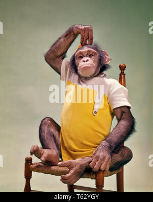 Monkey Scratching Head With Both Hands