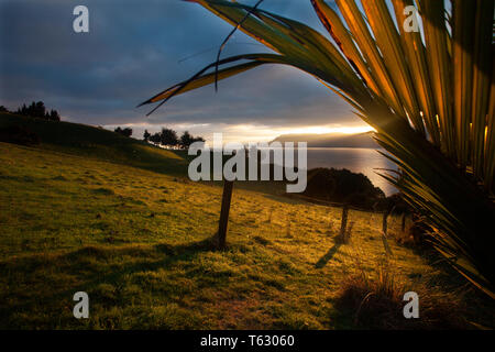 Walking at Cable Bay with Pepin Island in the background, Nelson, New ...