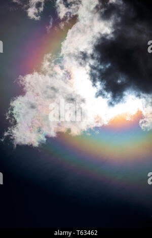 Refraction creates a rainbow, halo, or "sundog" around the sun; Central ...