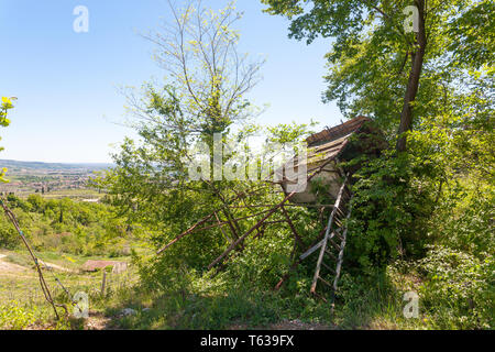 Abandoned hunting shack on woodland. Hills spring landscape Stock Photo ...